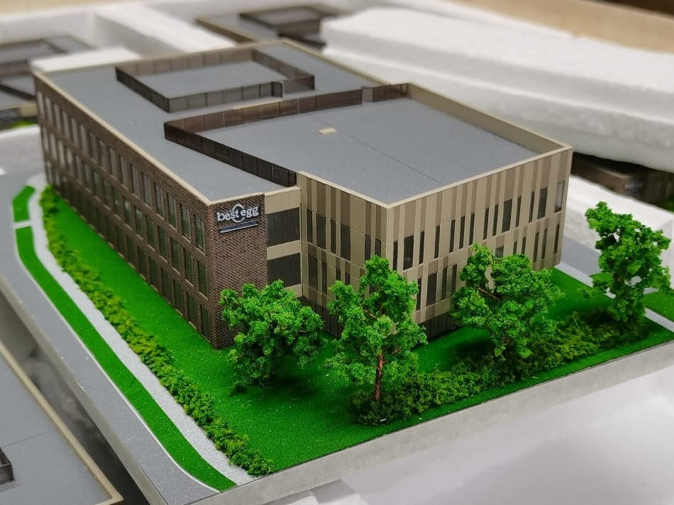 Say Hello to Our Latest Project - The Best Egg Models - Global 3D Arts